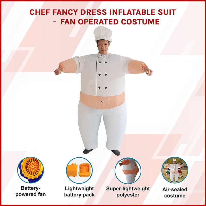 Various Design Fancy Dress Inflatable Suit -Fan Operated Costume