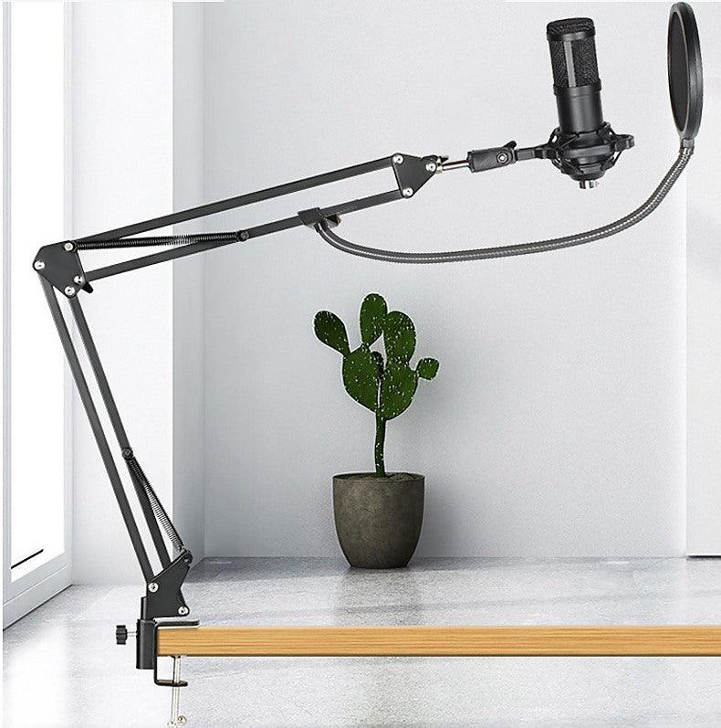 Professional Condenser Microphone USB Voice & Music Cantilever Bracket ...