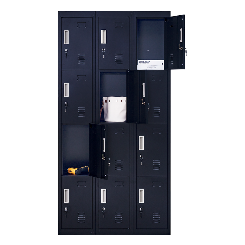 12-Door Steel Locker – Black | 360kg Capacity | Standard Lock with 2 ...
