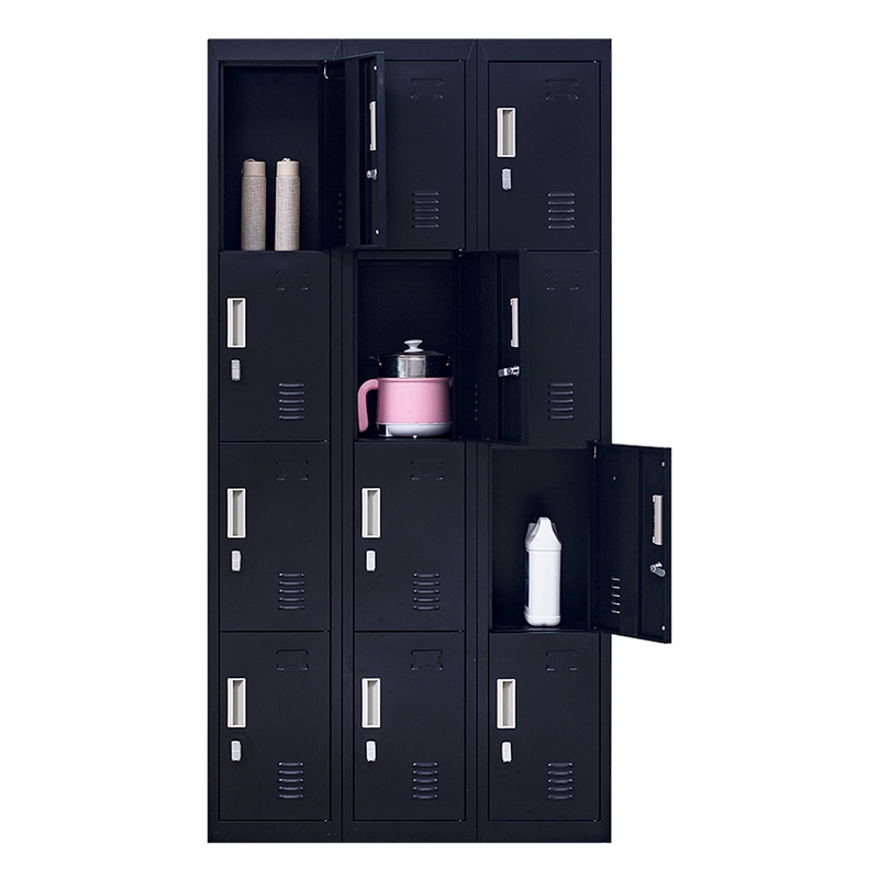 12-Door Steel Locker – Black | 360kg Capacity | Padlock-operated ...