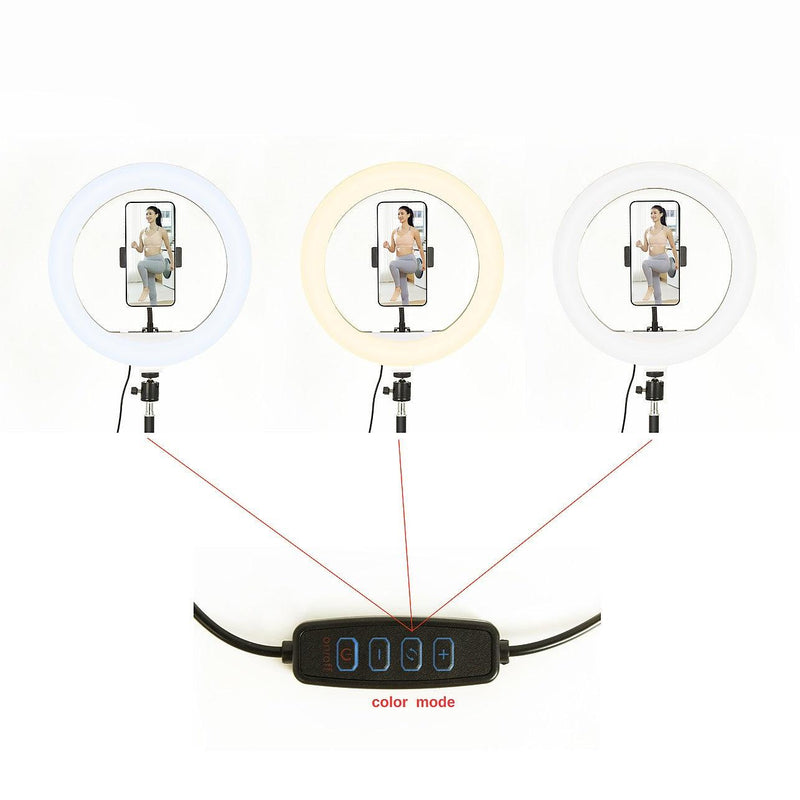 12 Inch LED Video Ring Light with Tabletop Light Stand and Phone Holder ...