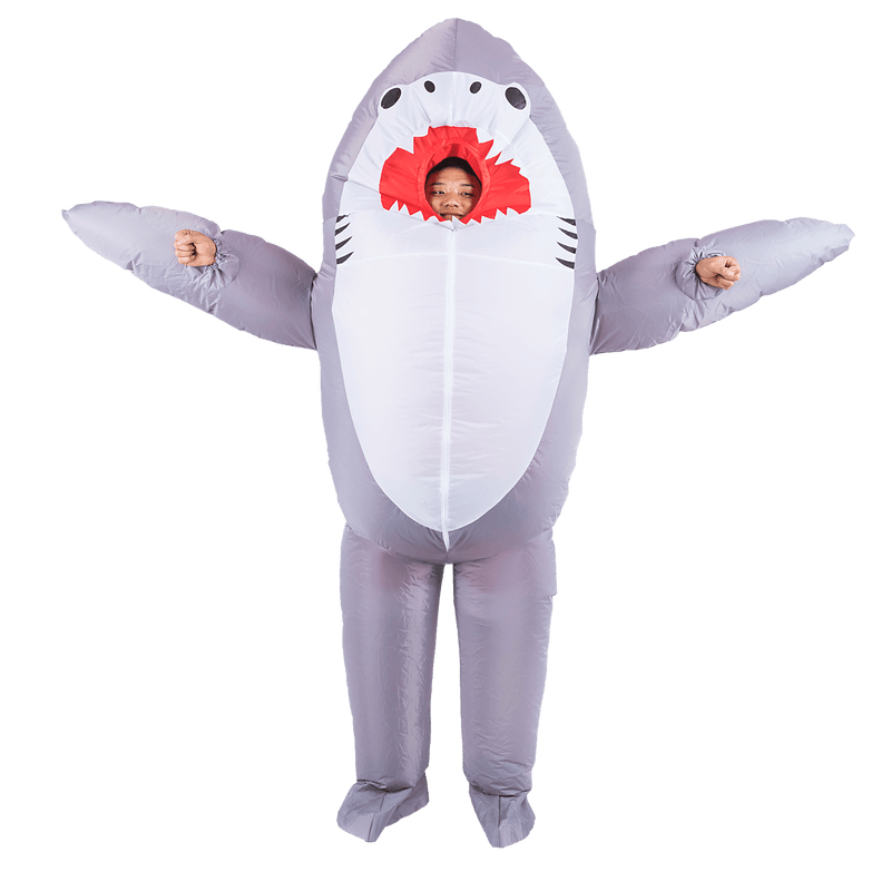 Various Design Fancy Dress Inflatable Suit -Fan Operated Costume ...
